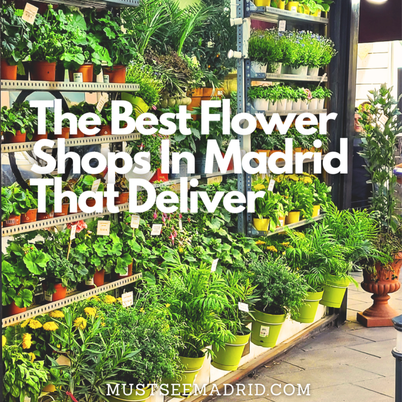 Petals to Your Door, Madrid's 11 Best Flower Shops That Delivery – Must ...