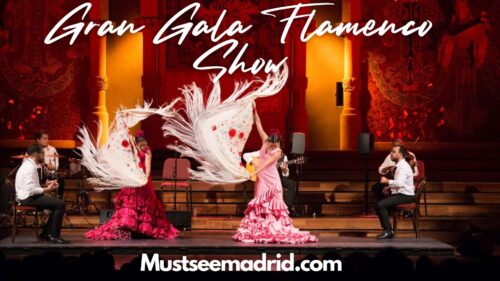 Gran Gala Flamenco, A Dazzling Debut in Madrid's Flamenco Scene – Must ...